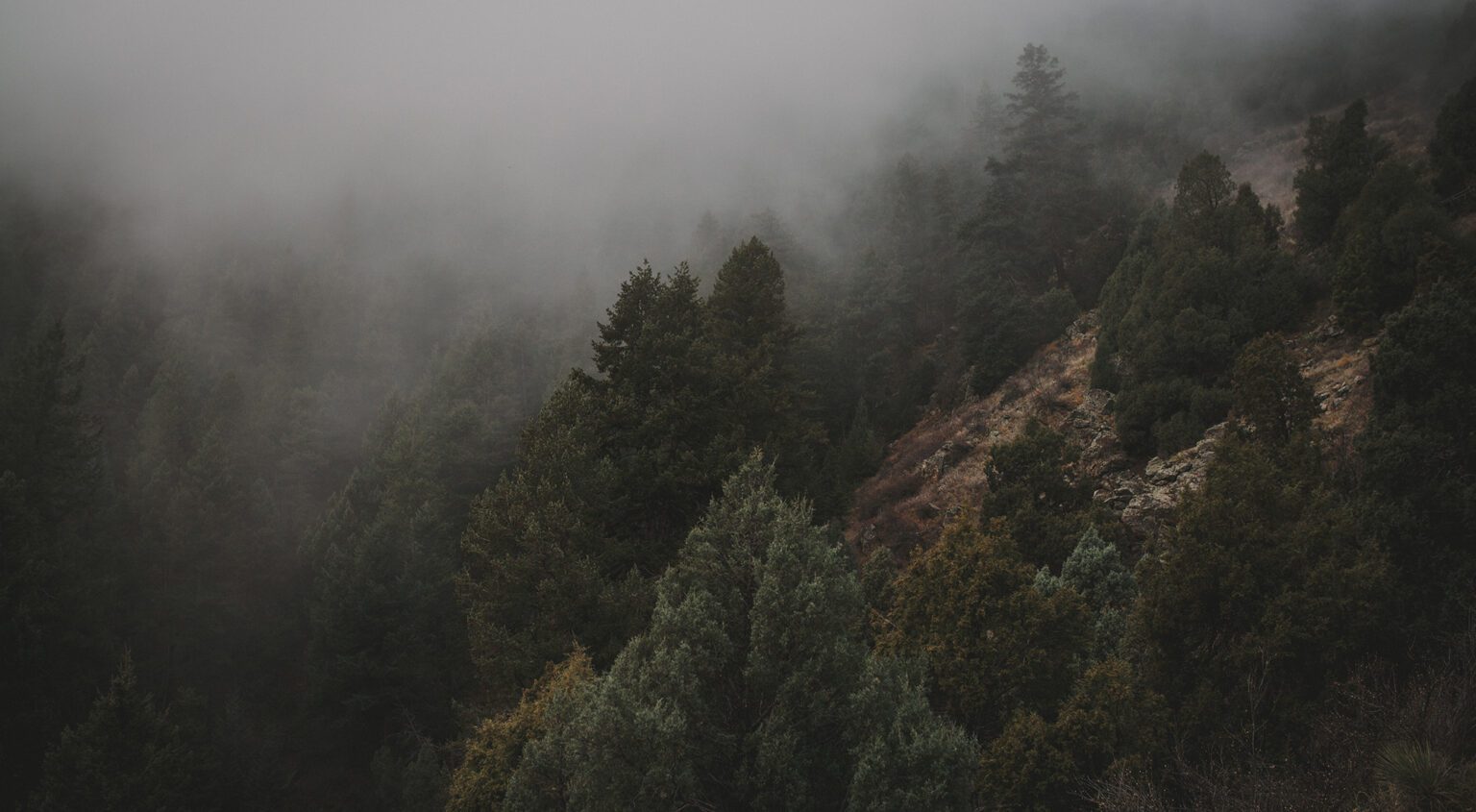 Jessica Christie Photography - Adventure Intimate Weddings & Elopements ...